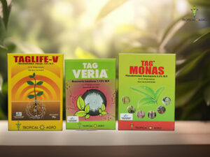 About us | Tropical Agro