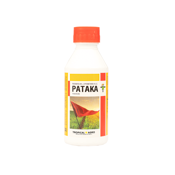 PATAKA | Tropical Agro