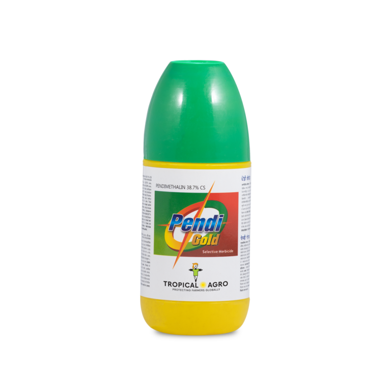 PENDI GOLD | Tropical Agro