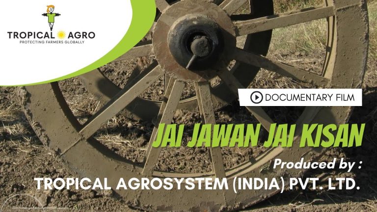 Embracing Organic Farming: A Path to Sustainable Agriculture | Tropical ...